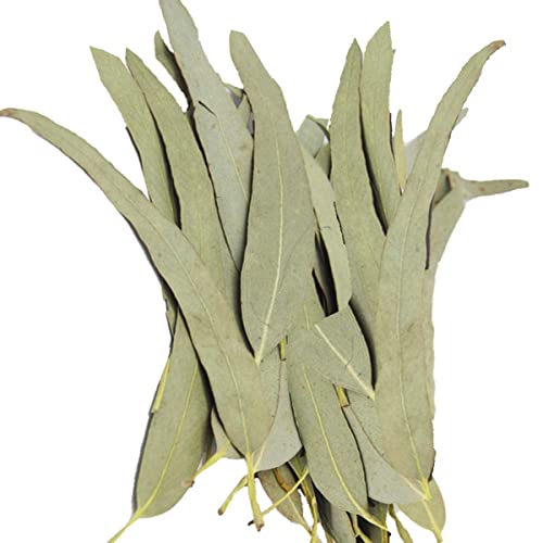 Whole Eucalyptus Leaves, Natural Eucalyptus Herb Leaves, 114g (4.0 oz)