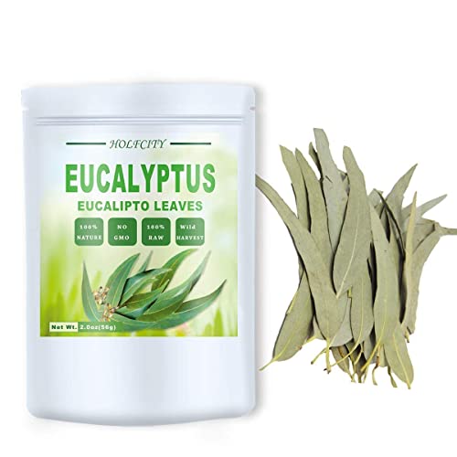 Whole Eucalyptus Leaves, Natural Eucalyptus Herb Leaves, 114g (4.0 oz)