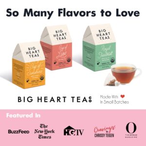 Big Heart Tea Co. Ginger Turmeric Tea, Certified Organic Tea Bags (10 Count) Herbal Caffeine Free Blend with Adaptogenic Tulsi, Peppercorn, Cinnamon - Cup of Sunshine