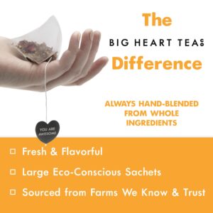 Big Heart Tea Co. Ginger Turmeric Tea, Certified Organic Tea Bags (10 Count) Herbal Caffeine Free Blend with Adaptogenic Tulsi, Peppercorn, Cinnamon - Cup of Sunshine