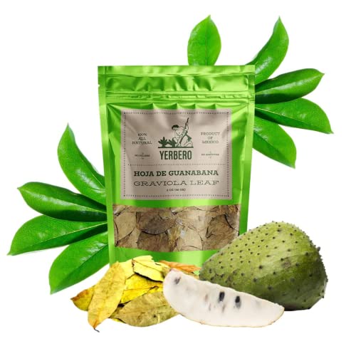 Yerbero - Te Hoja De Guanabana 1oz (28g) | Graviola Leaf - Whole Soursop Leaves | Stand Alone Resealable Bag, Crafted By Nature 100% All Natural Delicious Fresh Tea | From Mexico.