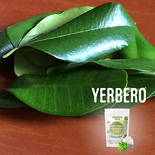 Yerbero - Te Hoja De Guanabana 1oz (28g) | Graviola Leaf - Whole Soursop Leaves | Stand Alone Resealable Bag, Crafted By Nature 100% All Natural Delicious Fresh Tea | From Mexico.