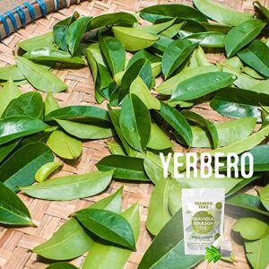 Yerbero - Te Hoja De Guanabana 1oz (28g) | Graviola Leaf - Whole Soursop Leaves | Stand Alone Resealable Bag, Crafted By Nature 100% All Natural Delicious Fresh Tea | From Mexico.