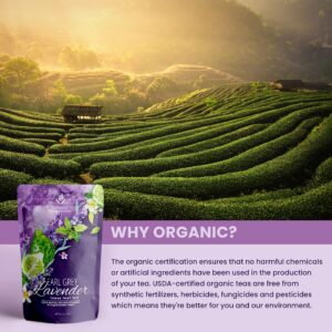 Gardenika Organic Earl Grey Loose Leaf Tea with Lavender and Bergamot Oil, Caffeinated Black Leaves, Kosher, No Natural or Artificial Flavors - 4 oz