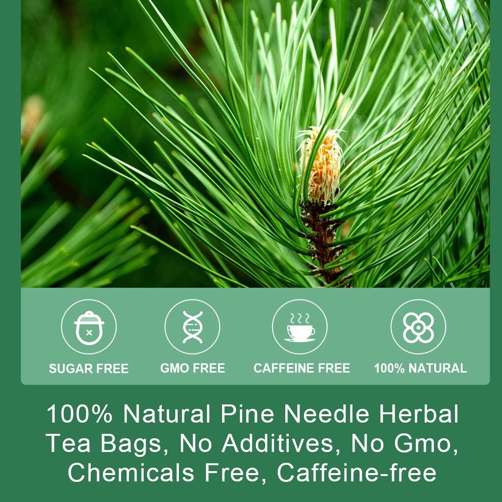 Organic Dried Pine Needle Tea Bags - Pine Needle Herbal Tea for Immune Support & Antioxidant, Caffeine Free, Natural Suramin, 30 Tea bags