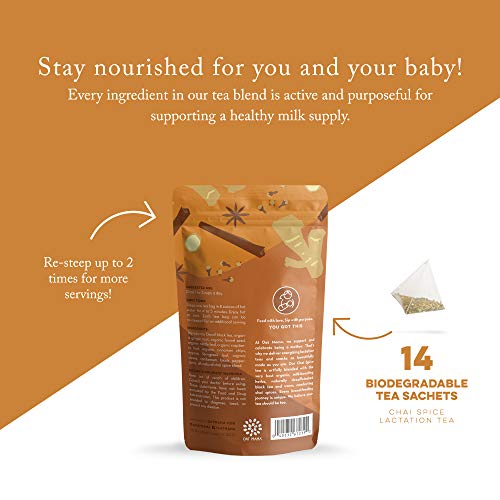 Oat Mama Lactation Tea: Chai Spice, Breastfeeding Support for New Moms, Organic Herbs to Help Increase Milk Supply, Women-Owned, 14 Tea Bags