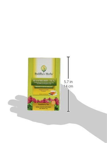 Buddha's Herbs Raspberry Leaf Tea, No Caffeine Tea, Pack of 2, 44 Tea Bags