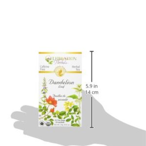 CELEBRATION HERBALS Dandelion Leaf Tea Organic 24 Bag, 0.81 Ounce