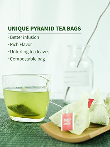 TeeLux Matcha Green Tea Bags, Classic Premium Japanese Matcha + Sencha Green Tea, Super Antioxidant, Zero Calories, Caffeinated, 100 Count