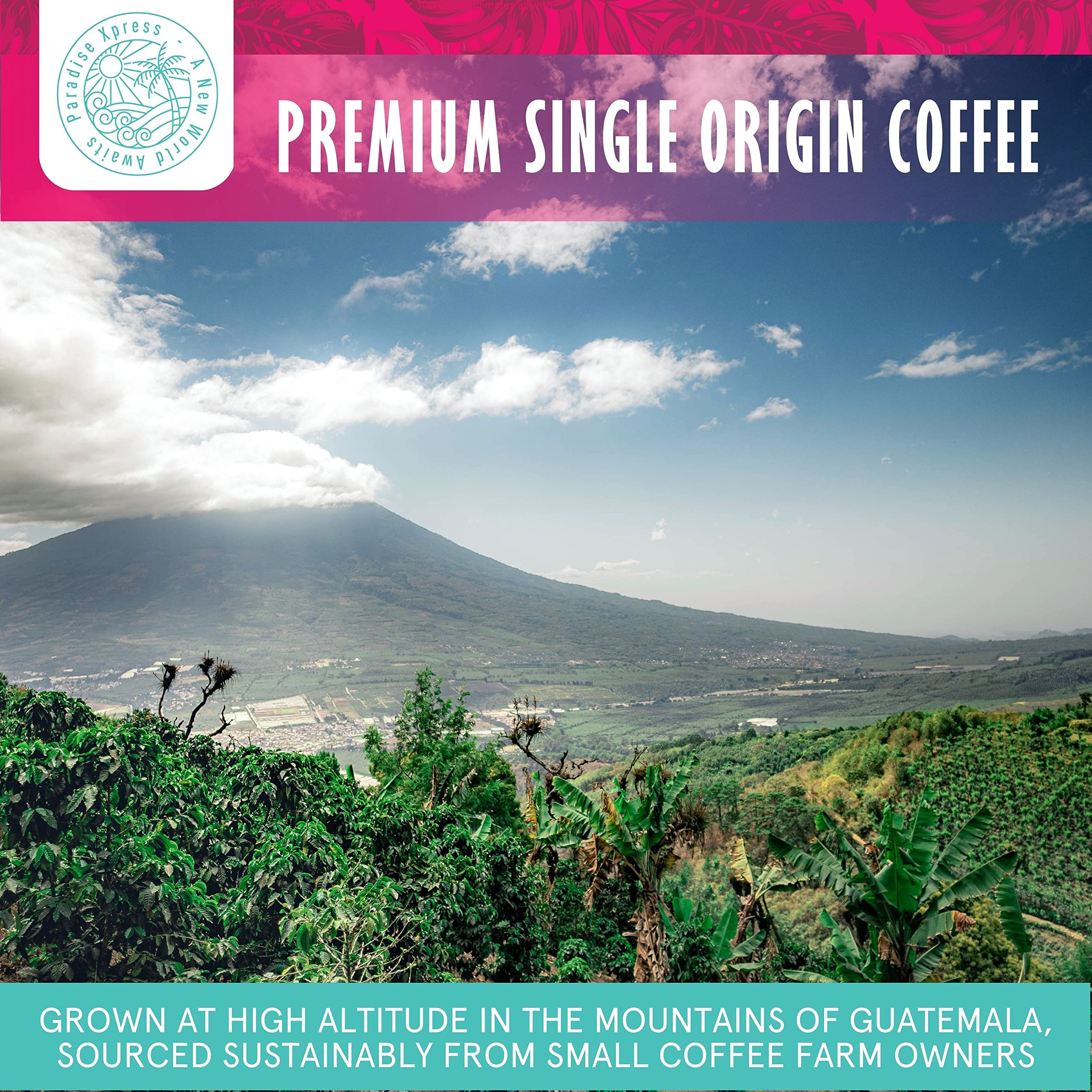 Paradise Xpress - Low Acid Coffee Beans Whole - Best Coffee Whole Beans Guatemala Coffee - Pour Over Coffee - Whole Coffee Bean Medium Roast Whole Bean - Whole Bean Coffee Medium Roast - Cafe En Grano