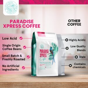 Paradise Xpress - Low Acid Coffee Beans Whole - Best Coffee Whole Beans Guatemala Coffee - Pour Over Coffee - Whole Coffee Bean Medium Roast Whole Bean - Whole Bean Coffee Medium Roast - Cafe En Grano