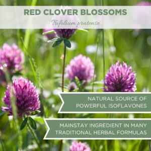 Organic Red Clover Blossoms 2 oz. (57g), USDA Certified Organic Red Clover, Red Clover Tea Organic, Red Clover Blossoms, Red Blossom Tea, Organic Red Clover Tea, Whole