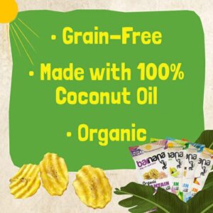 Barnana Organic Plantain Chips - Variety Pack - 5 Ounce, 4 Pack Plantains - Barnana Salty, Crunchy, Thick Sliced Snack - Best Chip For Your Everyday Life - Cooked in Premium Coconut Oil