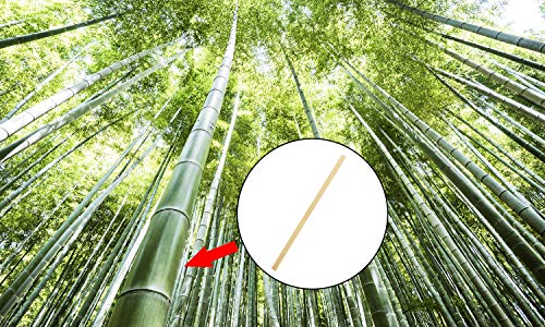 Mini Skater 5.4 Inch Bamboo Coffee Stirrers Eco Friendly Biodegradable Stir Sticks for Tea Hot Cold Beverages (100)