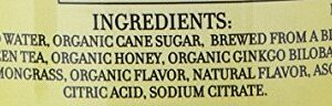 Harney & Sons Organic Green Iced Tea with Citrus & Ginkgo, Certified Organic and Fair Trade (70026), 16 Fl Oz (Pack of 12)