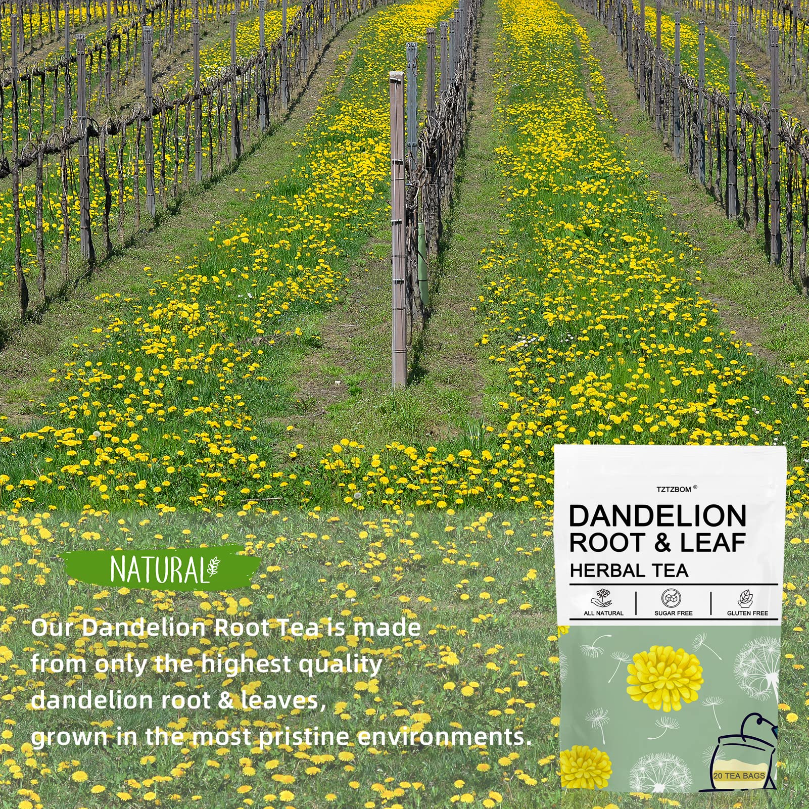 TZTZBOM Natural Premium Dandelion Root Tea - Energizing Dandelion Tea Helps Boost Immunity & Body Cleanse (20 Tea Bags)