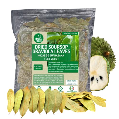 Yerbero - Whole Wildcrafted Dried Graviola Soursop Leaves 1 LB (453g - 1300+ Leaves Per Bag) Hoja De Guanabana Seca, Crafted By Nature | Vacuum Sealed for Freshness | From Mexico | Premium Quality.