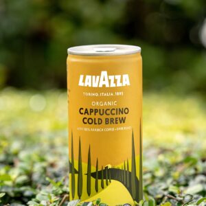 Lavazza Organic Cappuccino Cold Brew Coffee - (8 Fluid Ounce - Pack of 4)