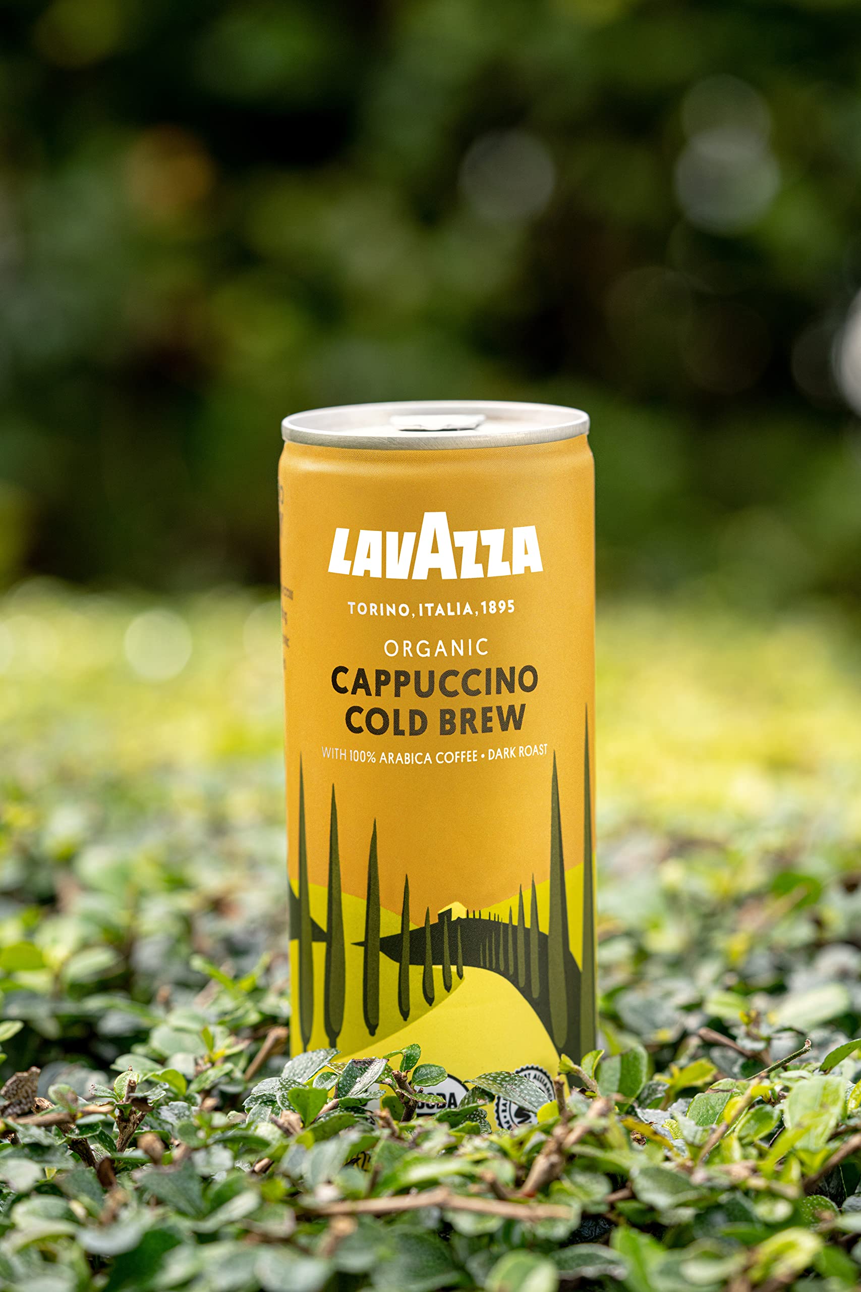 Lavazza Organic Cappuccino Cold Brew Coffee - (8 Fluid Ounce - Pack of 4)