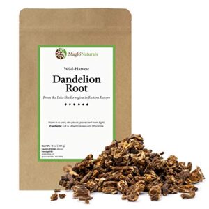 magjo naturals dandelion root, raw, not roasted, loose tea (200+ cups) (16 oz) 100% wild-crafted from eastern europe