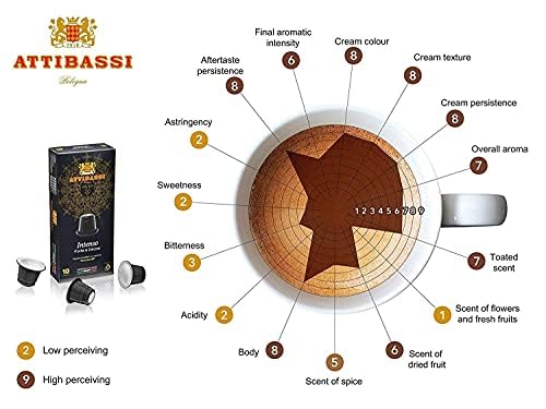 Attibassi Italian Espresso Coffee Capsules Compatible with Nespresso Original Machines, Intenso, 100 Pods