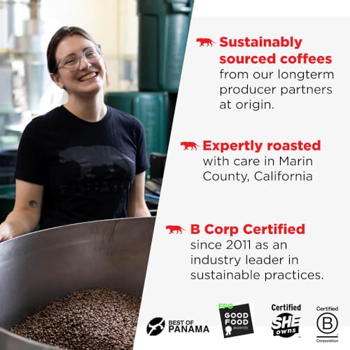 Equator Coffees, Equator Blend Whole Bean Coffee, Medium Dark Roast, Fresh Roasted, Smooth Chocolate & Nutmeg Flavor Notes, Sustainable, 10.5 oz Bag