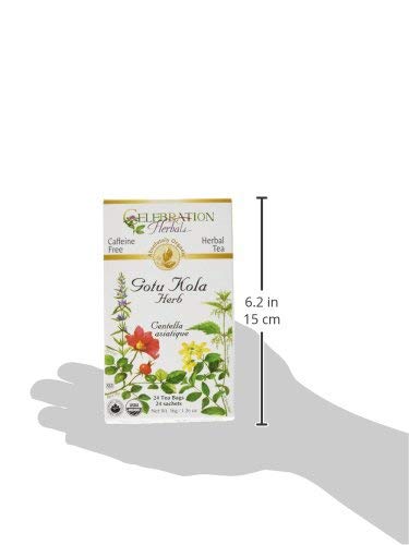 CELEBRATION HERBALS Gotu Kola Tea Organic 24 Bag, 0.02 Pound