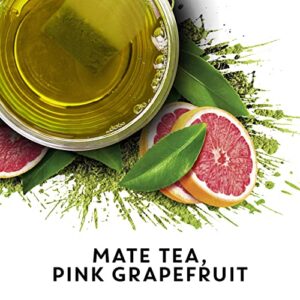 TAZO Matcha Mate Grapefruit Tea Bags, 20 Count (Pack of 6)