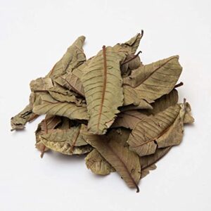 2oz Dried Guava Leaves, Hoja de Guayaba Seca by 1400s Spices