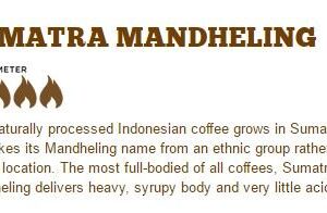 Stone Street Gourmet Coffee Indonesian Sumatra Mandheling, Single Origin, Dark Roast, 1 LB, Whole Bean