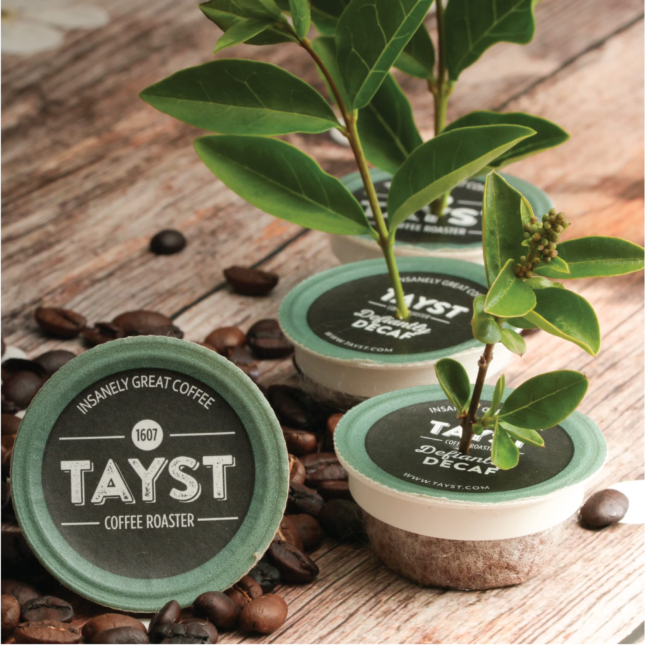 Tayst Coffee Pods, Bold & Brazen Dark Roast, K Cups Compatible with Keurig Coffee Maker, Sustainable Single Serve, Pack of 50