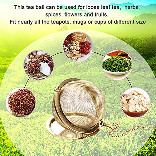 Tea Infuser - Stainless Steel Mesh Tea Ball, Premium Tea Infusers for Loose Tea, Tea Filter Strainers Interval Diffuser with Extended Chain Hook for Brew Tea and Spices & Seasonings (2pcs)