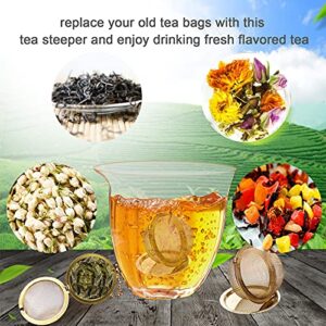 Tea Infuser - Stainless Steel Mesh Tea Ball, Premium Tea Infusers for Loose Tea, Tea Filter Strainers Interval Diffuser with Extended Chain Hook for Brew Tea and Spices & Seasonings (2pcs)