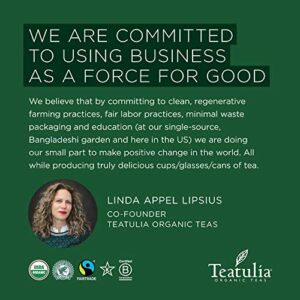 Teatulia Organic Hibiscus Berry Tea Bags (50 Wrapped Tea Bags) | 100% Compostable | Sustainably Grown In Egypt | Hibiscus & Rose Hips