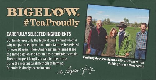 Bigelow Tea Green Tea with Mint, 20 ct