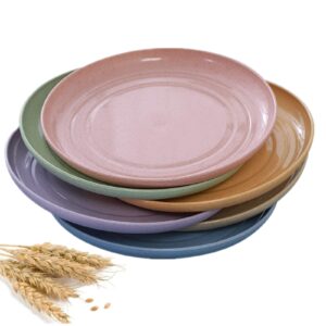 fn grace 6pack 6 inch unbreakable lightweight wheats straw plates dinner plates sets-dishwasher & microwave safe, healthy dinnerware