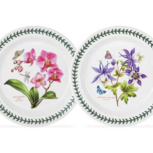 Portmeirion Exotic Botanic Garden Dinner Plate with Assorted Motifs, Round, Ceramic, Dishwasher, Microwave, & Oven Safe, 10.5 Inch, Made in England - Set of 6