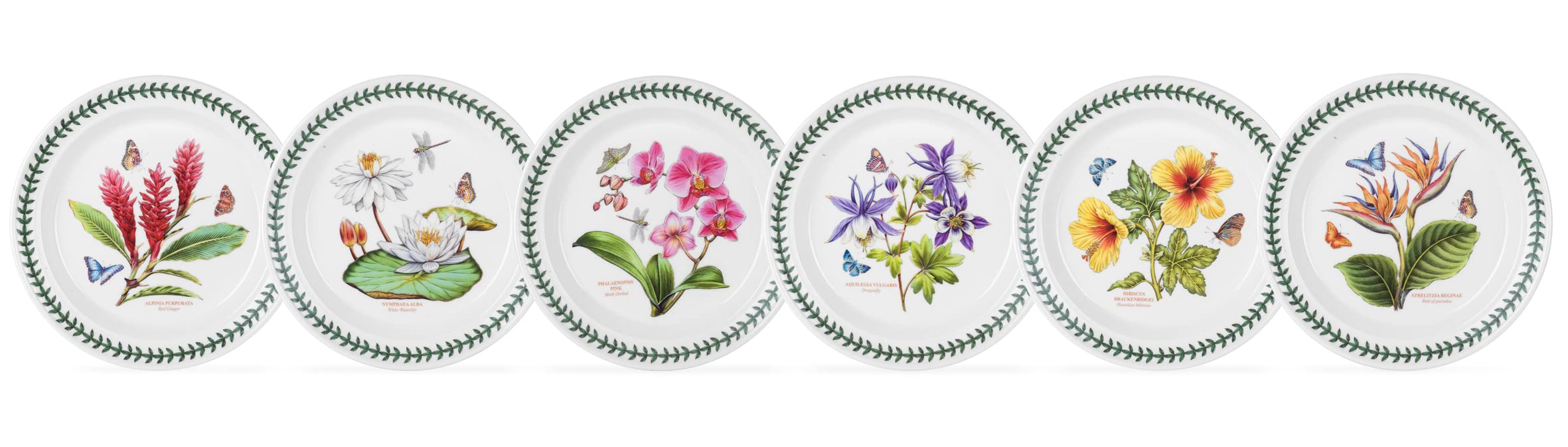 Portmeirion Exotic Botanic Garden Dinner Plate with Assorted Motifs, Round, Ceramic, Dishwasher, Microwave, & Oven Safe, 10.5 Inch, Made in England - Set of 6