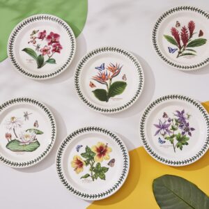 Portmeirion Exotic Botanic Garden Dinner Plate with Assorted Motifs, Round, Ceramic, Dishwasher, Microwave, & Oven Safe, 10.5 Inch, Made in England - Set of 6