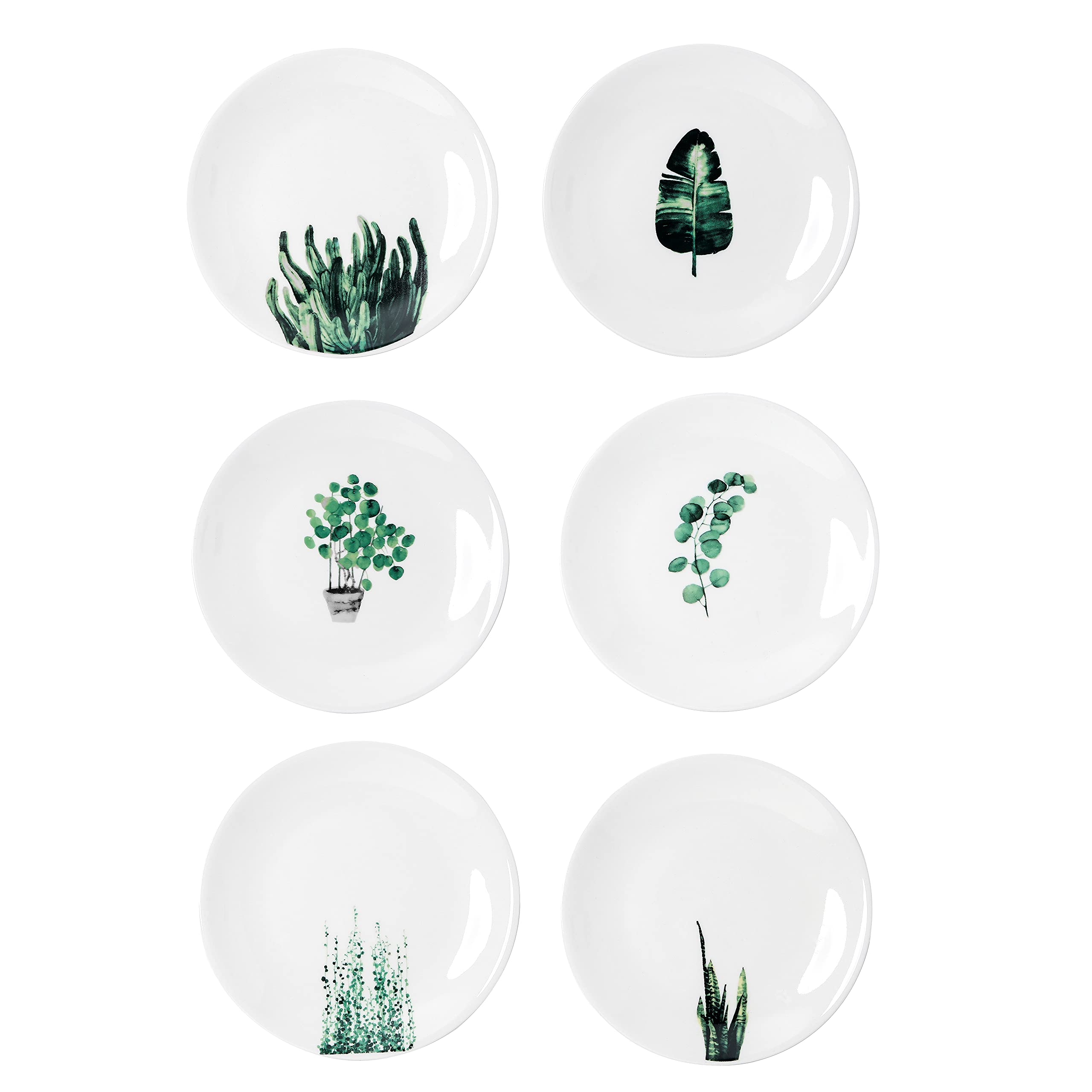 YCBH 6 Inch Set of 6 Assorted Designs, Small Porcelain Plates with Plants Pattern,White Ceramic Dinnerware for Appetizer Luncheon Snacks Dessert Serving Bread, Microwave Oven Dishwasher Safe