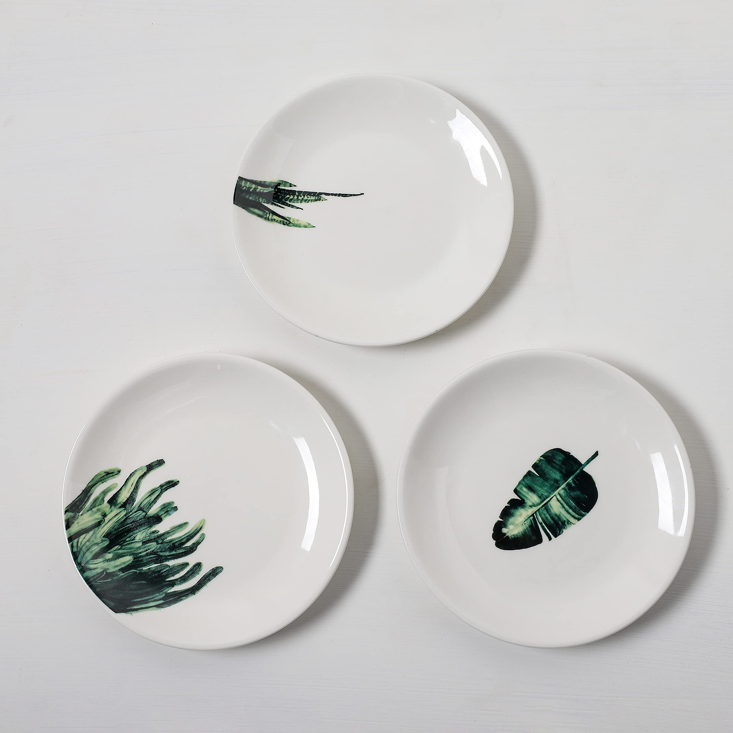 YCBH 6 Inch Set of 6 Assorted Designs, Small Porcelain Plates with Plants Pattern,White Ceramic Dinnerware for Appetizer Luncheon Snacks Dessert Serving Bread, Microwave Oven Dishwasher Safe