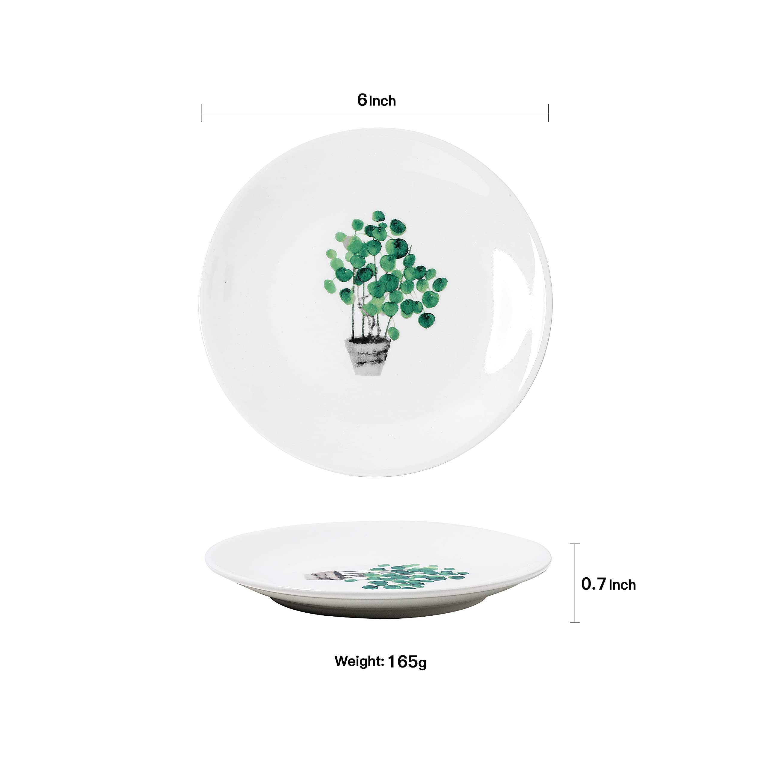 YCBH 6 Inch Set of 6 Assorted Designs, Small Porcelain Plates with Plants Pattern,White Ceramic Dinnerware for Appetizer Luncheon Snacks Dessert Serving Bread, Microwave Oven Dishwasher Safe