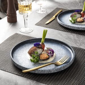 S&Q'S CERAMICS S&Q Ceramic Dinner Plates Set of 6, 10.5 inch Ceramic Stoneware Dinnerware Serving Dishes for Kitchen, Microwave and Dishwasher Safe, Scratch Resistant (Dark Blue)