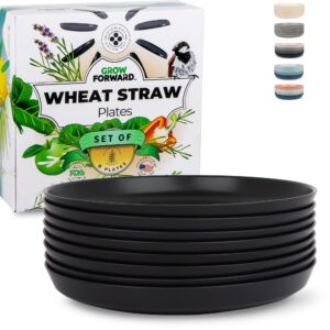 Grow Forward Premium Wheat Straw Plates - 10 Inch Hard Plastic Plates Reusable - Unbreakable Microwave Safe Deep Dinner Plates Set of 8 - Outdoor Plates for Patio, Camping, Picnic, Kids - Midnight