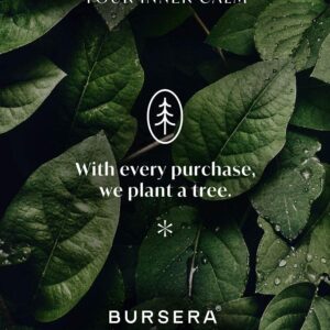 Bursera Vulcan Ceramic Bowl, Tree Planted with Every Order, Smudging Burn Bowl for Sage, Palo Santo Wood, Form for Candles, Candle Container, Smudge, Decorative Incense Burner