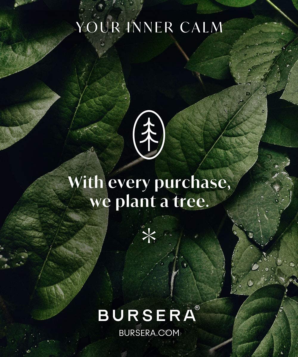 Bursera Vulcan Ceramic Bowl, Tree Planted with Every Order, Smudging Burn Bowl for Sage, Palo Santo Wood, Form for Candles, Candle Container, Smudge, Decorative Incense Burner