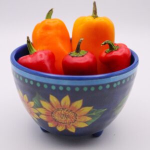 Chips and Salsa Chip Dip Bowl Set - Spanish 2 Piece Small Bowl Set Painted Blue Dishes with Sunflowers - Serving Bowls for Party and Fiestas (2)