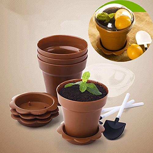 Healthcom 50 Packs 180ml Ice Cream Dessert Cup with Lids and Spoons 50 Sets Flower Pot Cups Mousse Cake Cups Salad Cup Dessert Bowls Jelly Pudding Yogurt Cup Snack Bowls Container for Party Wedding