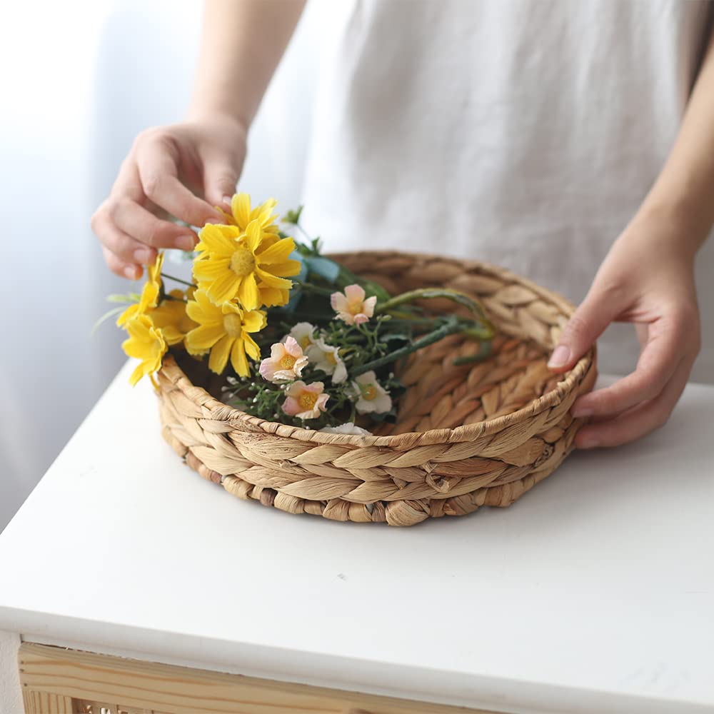 Fruit Tray Weaving by Grass, Round Bins for Vegetable, Arts and Crafts. (Small)