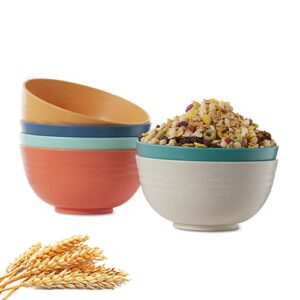 fdbtl 24oz cereal bowls set of 6 unbreakable wheat straw bowls lightweight dishwasher & microwave safe bowl set reusable bpa free for soup rice salad ramen salad fruit